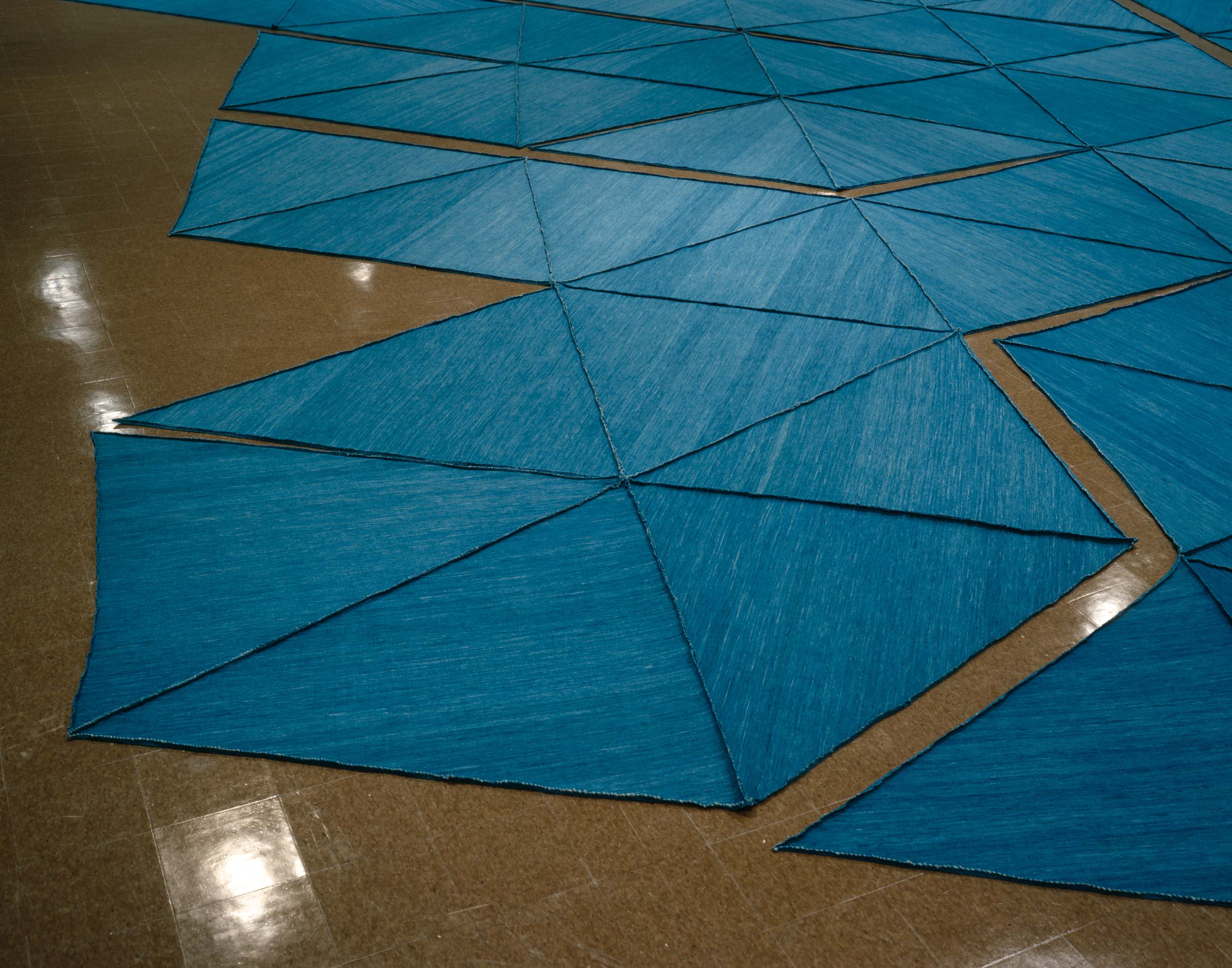 Helen Mirra: Sky-wreck | Exhibitions | The Renaissance Society